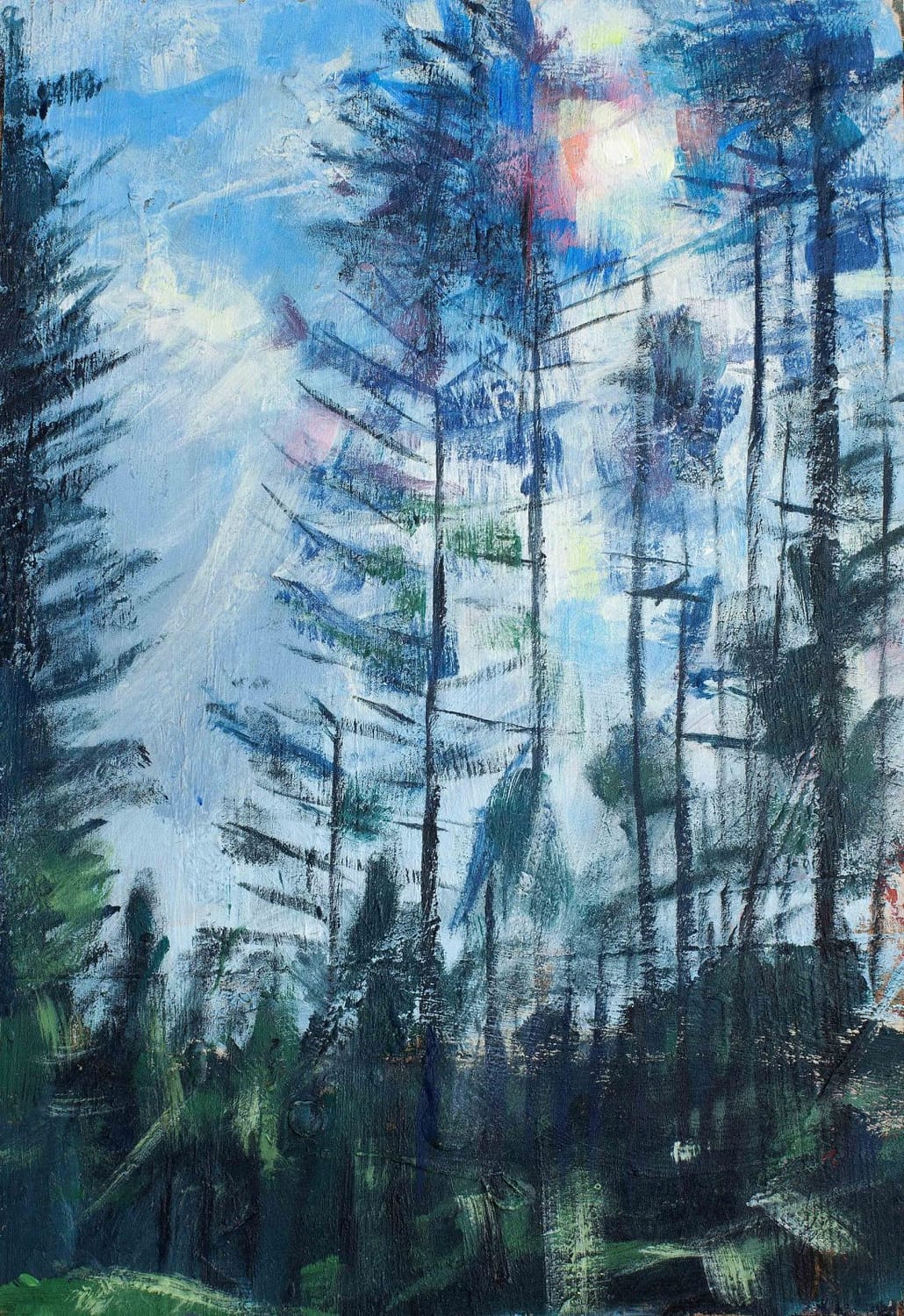 Pine Tree Sun Beams – Rich Edwards